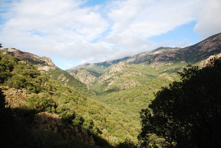 Villacidro - L'Altra Sardegna