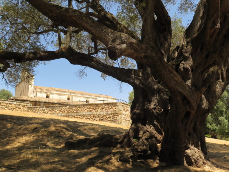 Villacidro - L'Altra Sardegna